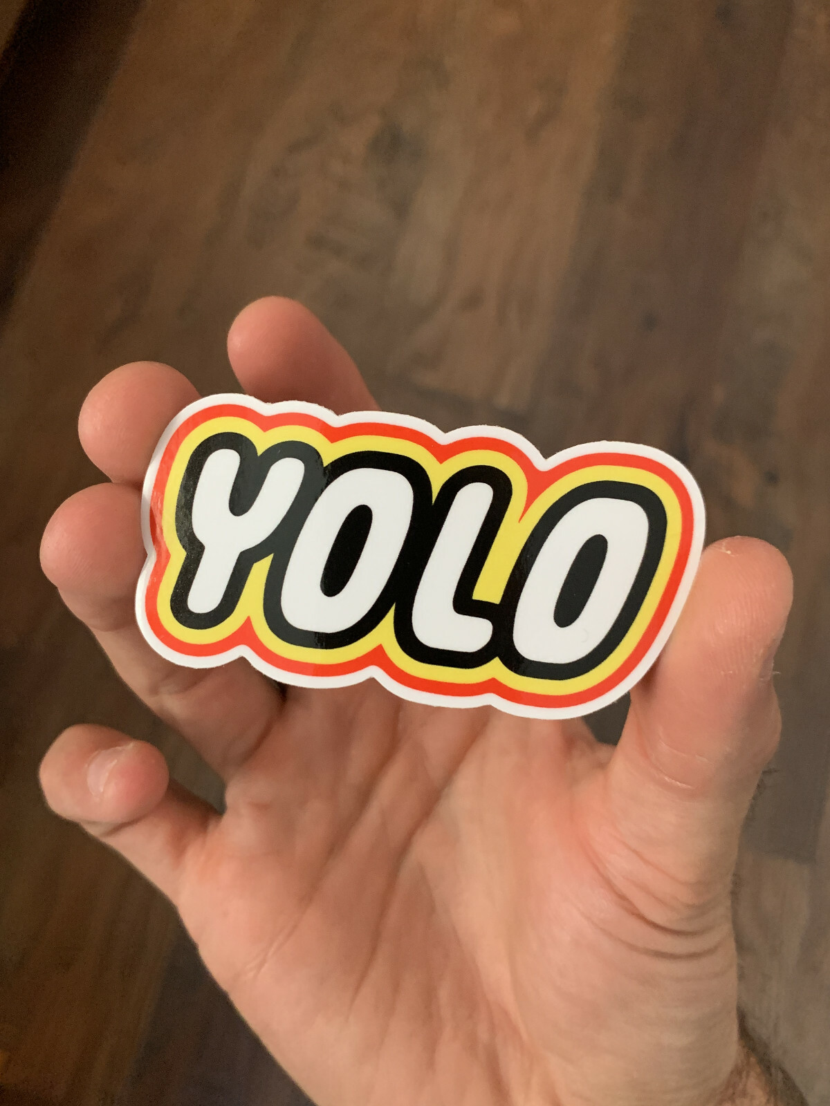 Yolo Logo
