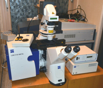 Carl Zeiss Microscope LSM 510 META Confocal with Axiovert 200M [#A202 ...