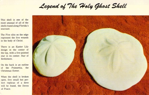 Sand Dollar Shell, The Legend of the Holy Ghost Shell VTG Postcard M12 ...