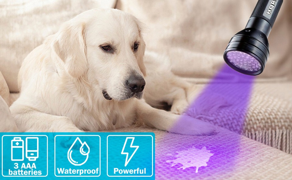 HQRP 51 LED 395 nM Ultra Violet LIGHT Flashlight Scorpion Detector | eBay