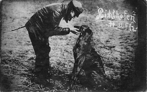 RPPC RICHTHOFEN RED BARON GERMAN PILOT & DOG AVIATION REAL PHOTO ...