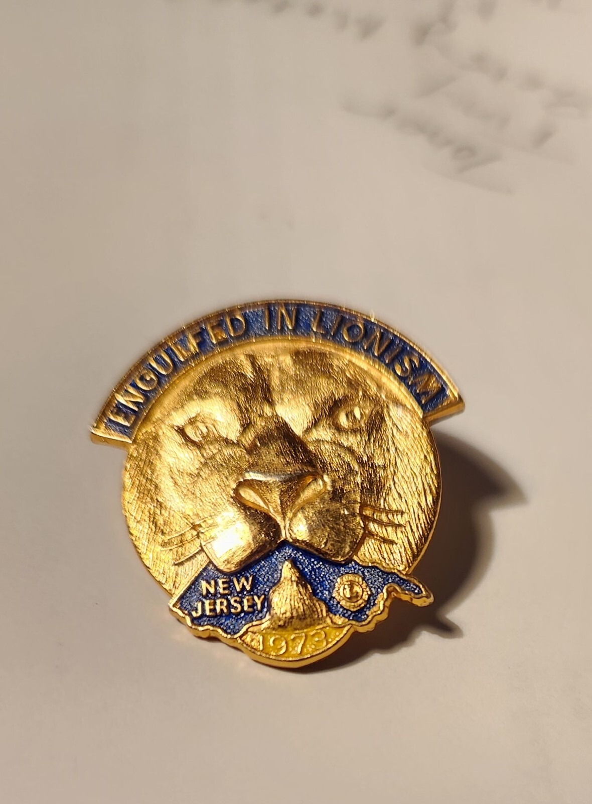 Vintage Lions Lapel Pin Engulfed In Lionism New Jersey 1973 | eBay
