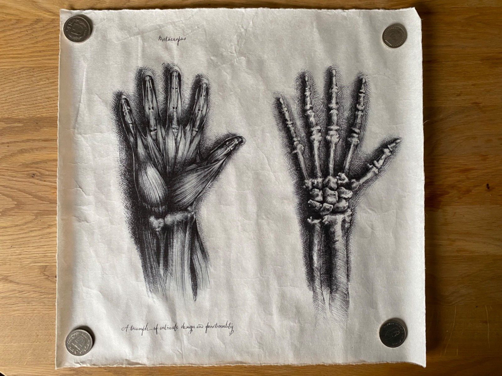 100% Screen Used Movie and Television Props with the Most Bids on Ebay ...