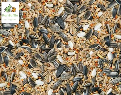 20KG PARAKEET & COCKATIEL SEED MIX Striped Sunflower Hemp Safflower ...