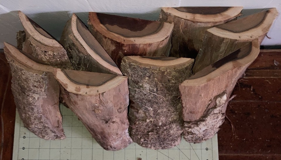 9 Piece Box Rough Cut Offs Hawaiian Milo Wood~ 13" long (#m6) | eBay