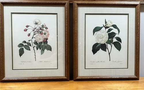 PAIR of Professionally Framed Vintage P J Redoute Litho Botanical ...