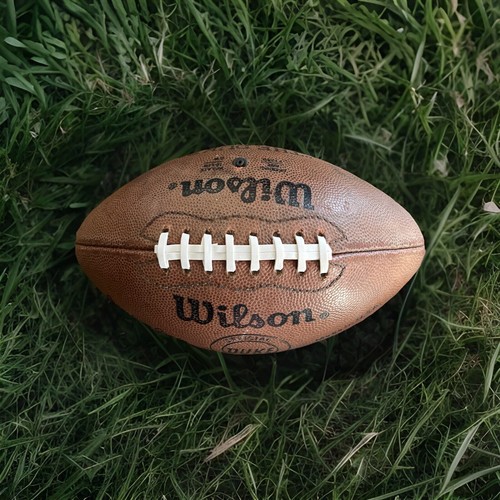 Vintage NFL Authentic Football - The Duke, Hand-Stitched Leather ...