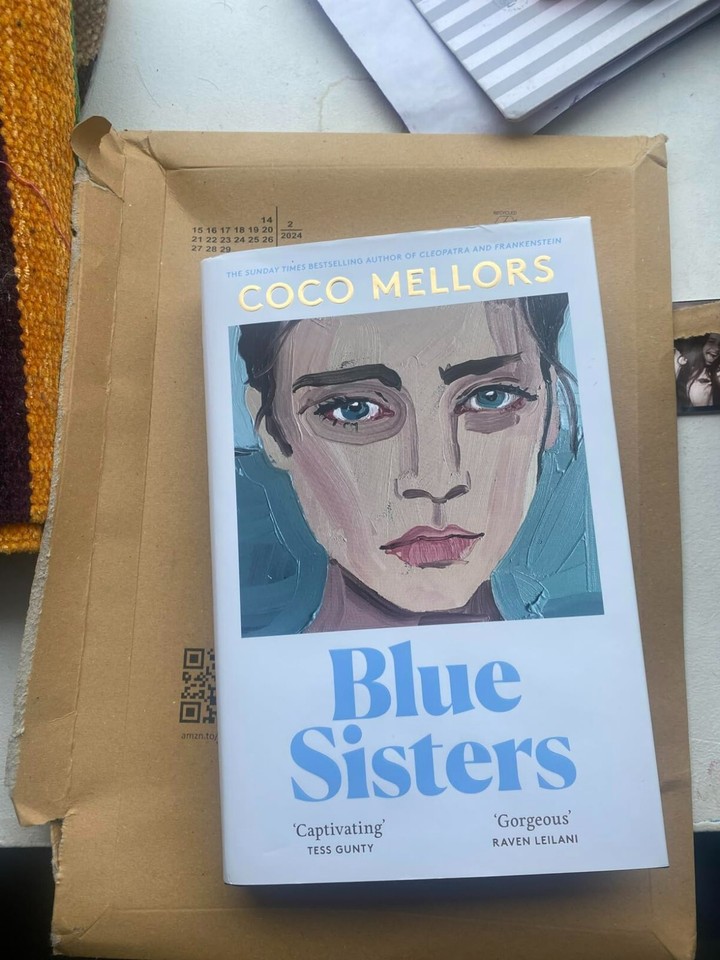 Blue Sisters: a Read with Jenna Pick : A Novel by Coco Mellors (2024 ...