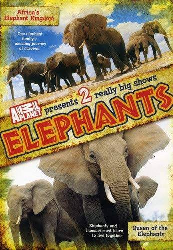 Elephants - DVD By Elephants - VERY GOOD 796019822022 | eBay