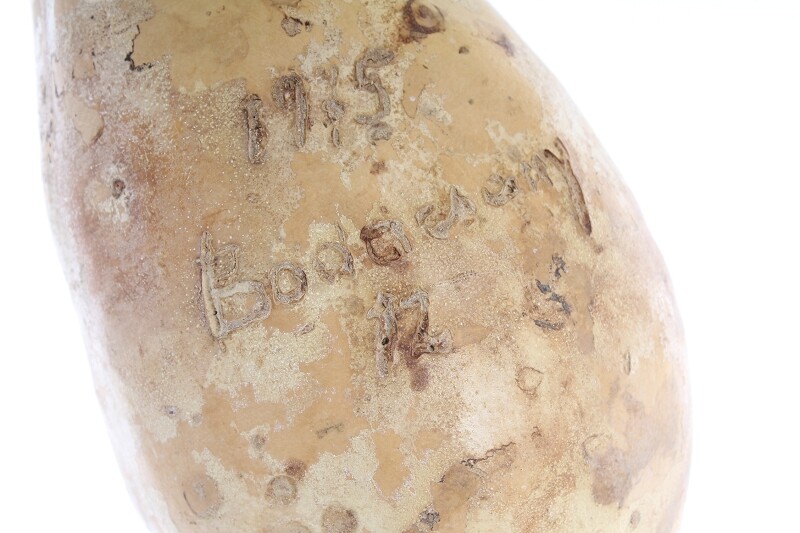 Kürbis Kalebasse Rassel getrockneter Flaschenkürbis Länge 71cm ...