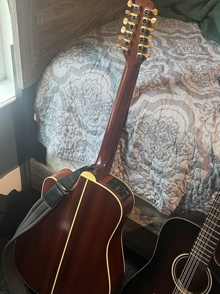 Takamine P3DC-12 12-String Dreadnought Acoustic-Electric Guitar Spruce ...
