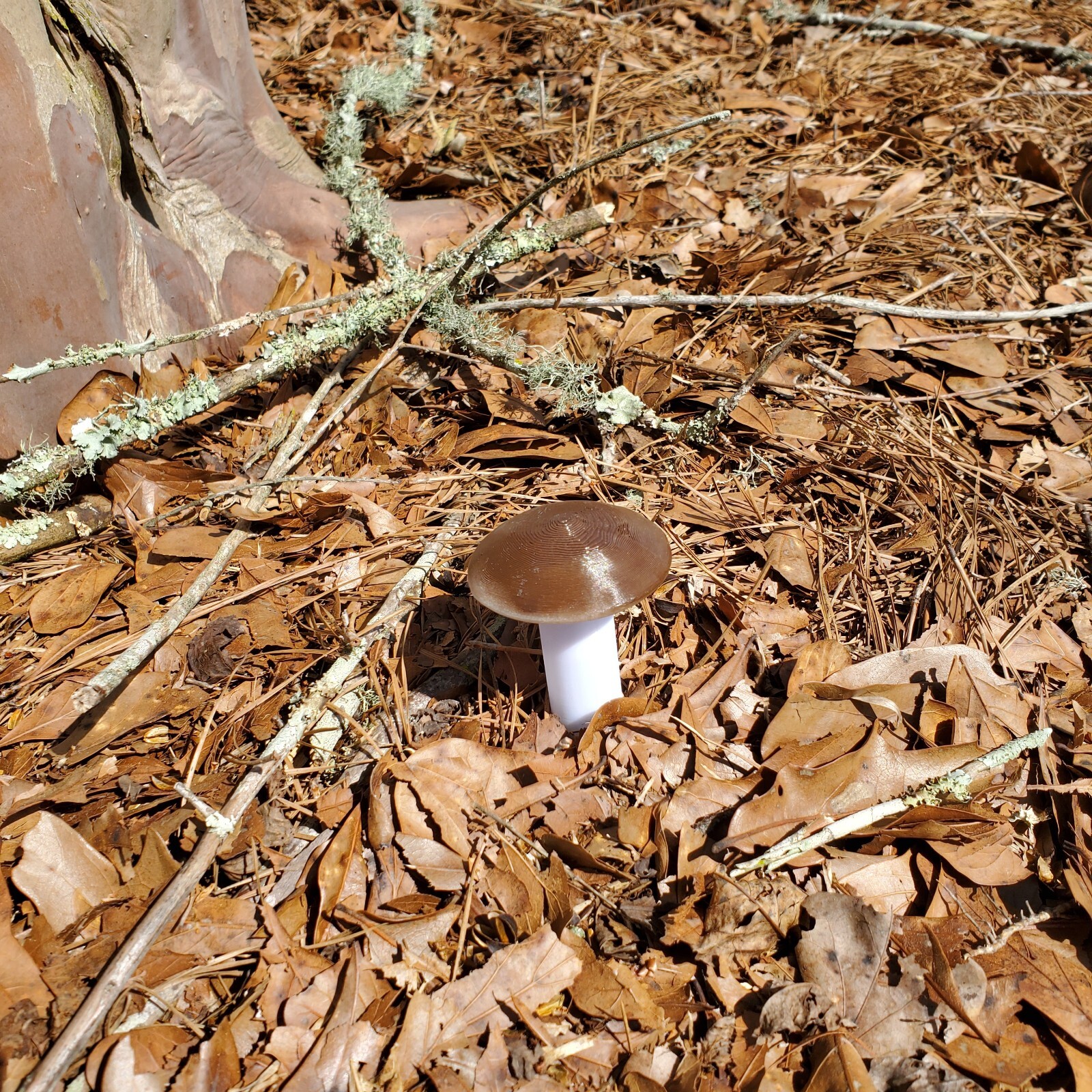 Fake Mushroom Geocache Container Brown Top Evil Hide | eBay