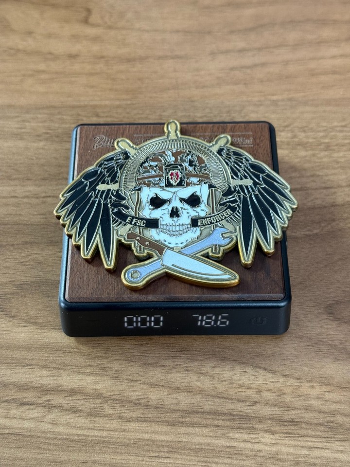 Military Skull - Wings Challenge Coin - "EFSC Enforcer" - "Exceed ...