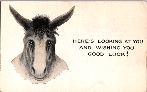 Vintage Postcard Wishing You Good Luck Humorous Donkey Illustration | eBay