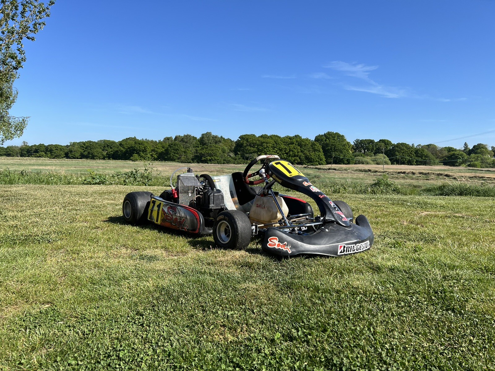 Sodi Kart with Rotax Max | eBay UK