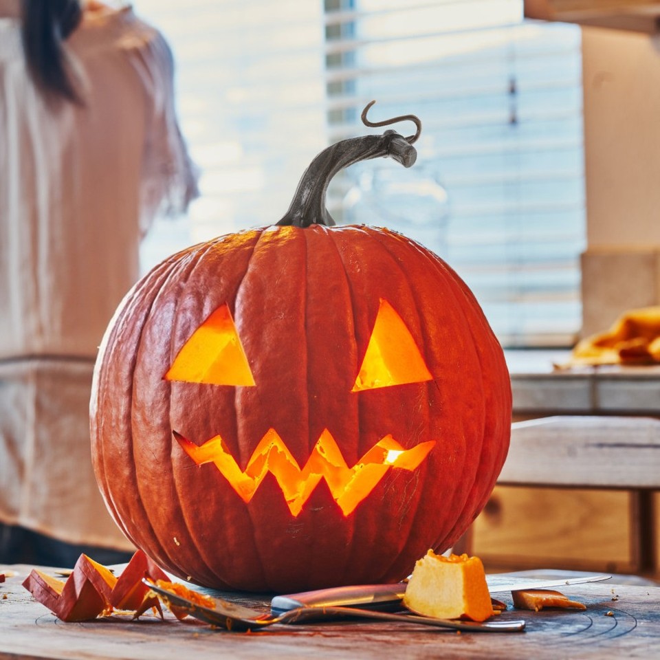 60 Pcs DIY Pumpkin Handle Plastic Pumpkin Handle Harvest Day Prop ...