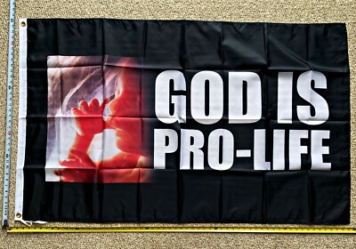 Pro Life Flag FREE SHIPPING Trump Biden God Is Pro Life Baby Poster ...