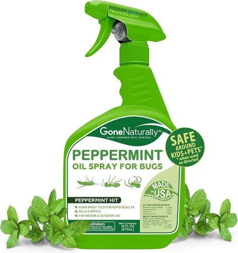 Peppermint Oil Spray for Bugs– Insect Repellent & Bug Spray for Home ...