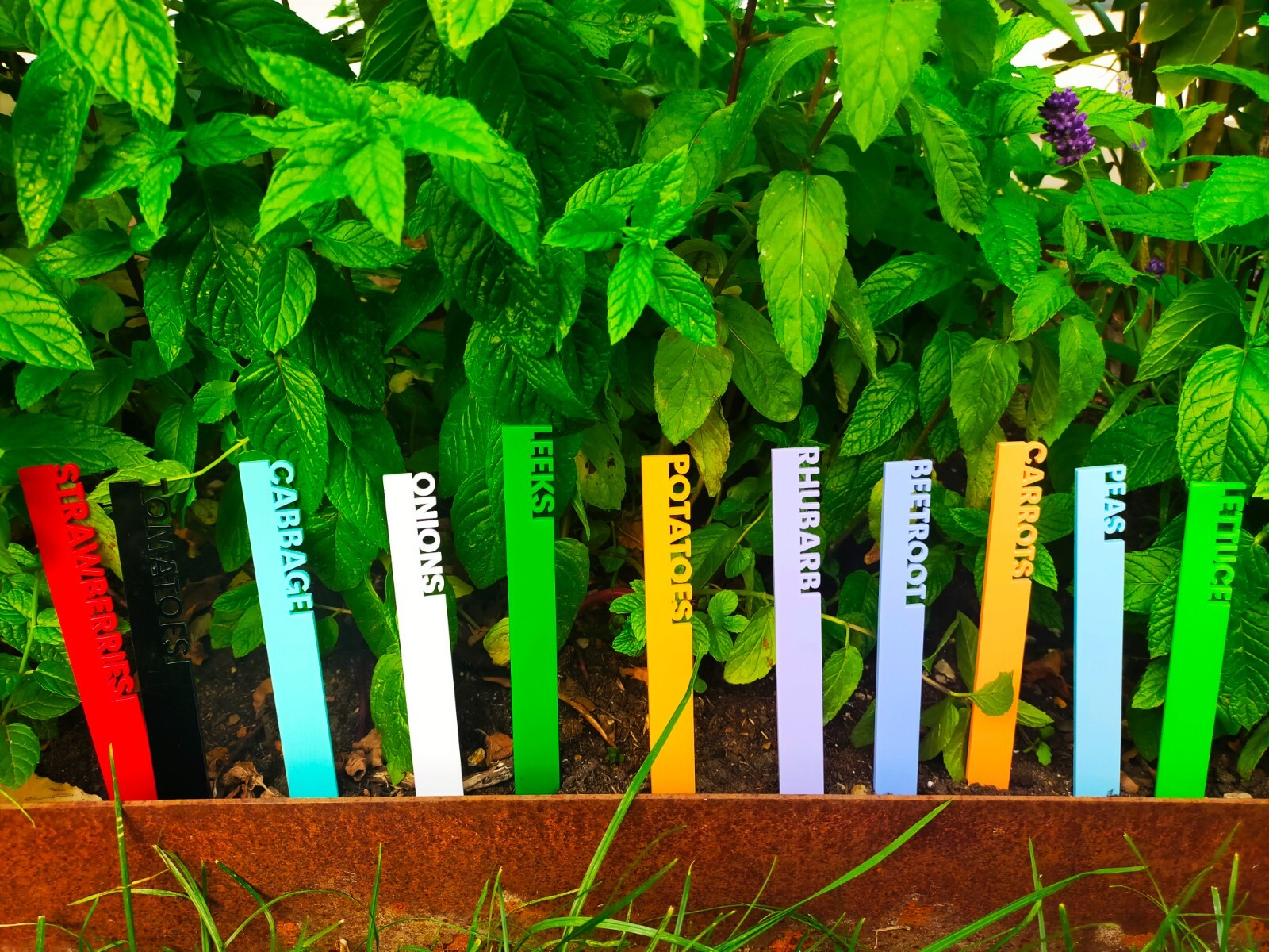 Plant Labels Garden Markers Tags Herb Vegetable Flower Seed Sign ...