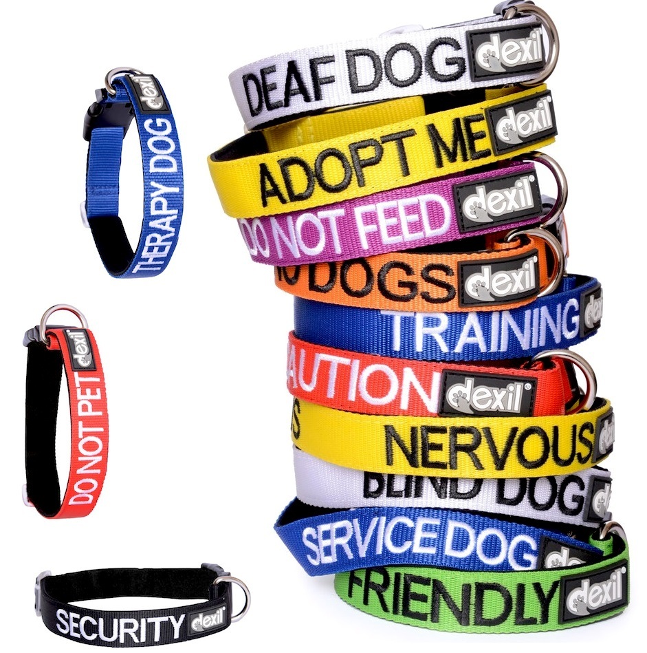Warning Dog Colour Coded Collar Lead Harness CAUTION, TRAINING Sizes ...