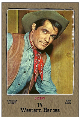 4"x6" MAGNET PRINT - "DESTRY" JOHN GAVIN | eBay