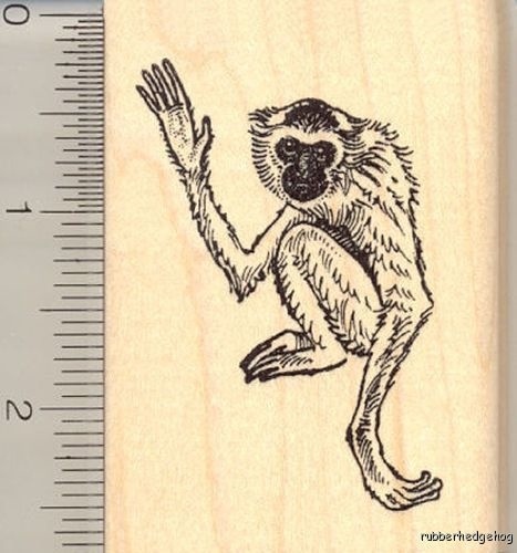 Gibbon monkey ape rubber stamp J11506 WM | eBay