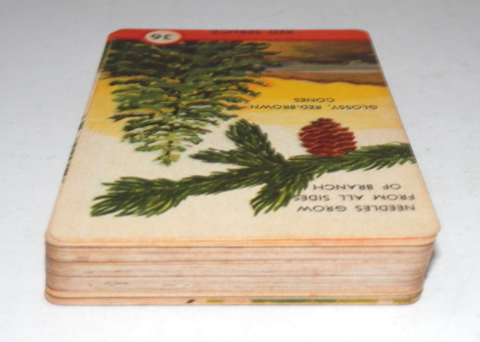 Vintage Tree Spotter Card Set • 36 Ed-U-Cards Set Identify Leaves Fruit ...