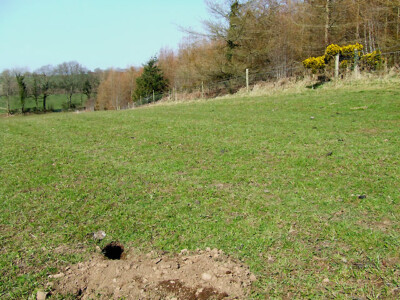 Photo 6x4 Grass crop field north of Llangybi, Ceredigion Llangybi ...