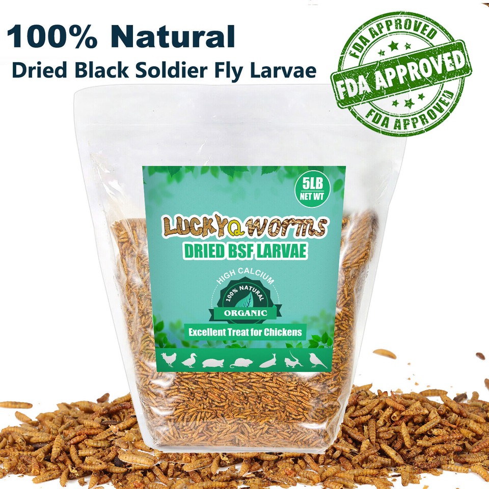 Bulk Dried BSF Mealworms for Wild Birds Food Chickens Hen Fish Treats ...
