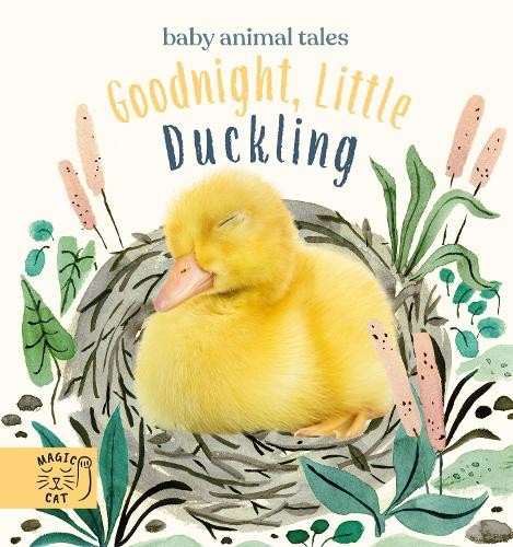 Amanda Wood Goodnight, Little Duckling (Board Book) (UK IMPORT) | eBay