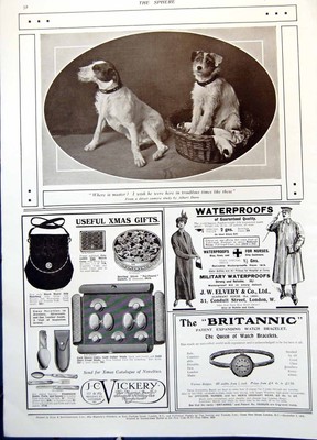 Old Antique Print Dogs Looking For Master Troublesome Times Basket 1914 ...