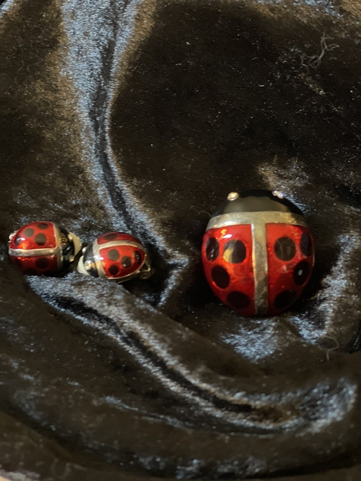 Lot of Vintage Insect Jewelry, MJ Ladybug Collection and Best Bee ...