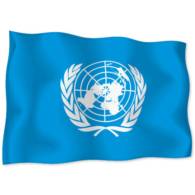 United Nations Flag car bumper sticker decal 6" x 4" | eBay