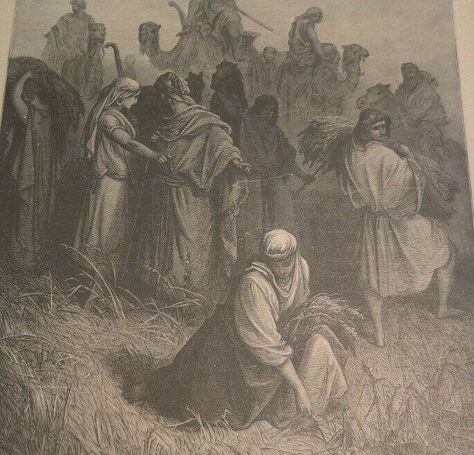 Ruth And Boaz What Happened Between Ruth And Boaz? | Bible