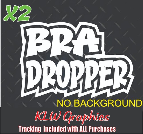 Bra Pantie Dropper Decal Sticker Funny Car Turbo Diesel Truck 7.3 Crew ...