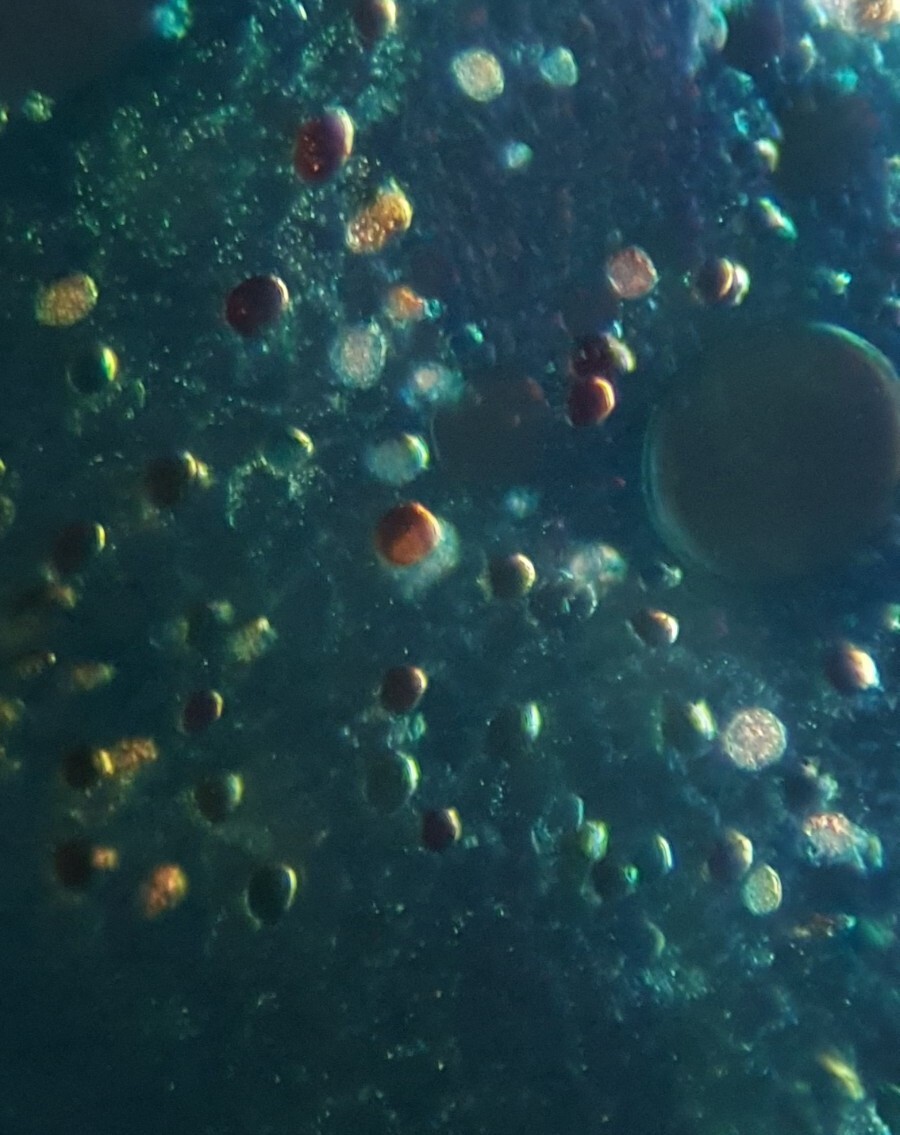 Darkfield Microscope Filters Set Of 20 Experimental Filters 32mm ...