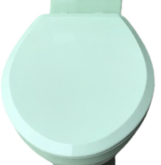 Light Green Toilet Seat