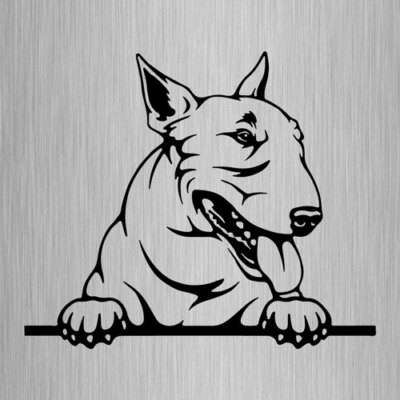 Bull Terrier Sticker Vinyl Window Peeking Dog Decal 160mm x 135mm | eBay