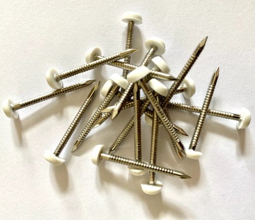 50 x 30mm White UPVC Plastic Headed Pins Nails Poly Top A4 Stainless ...