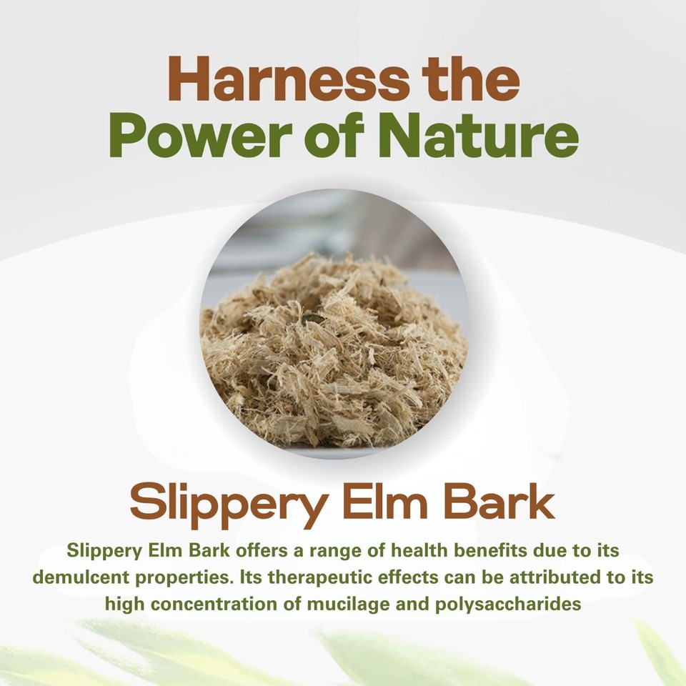 Slippery Elm Bark Extract Powder Organic, 10:1 Extract - 8oz Slippery Elm Powder | eBay
