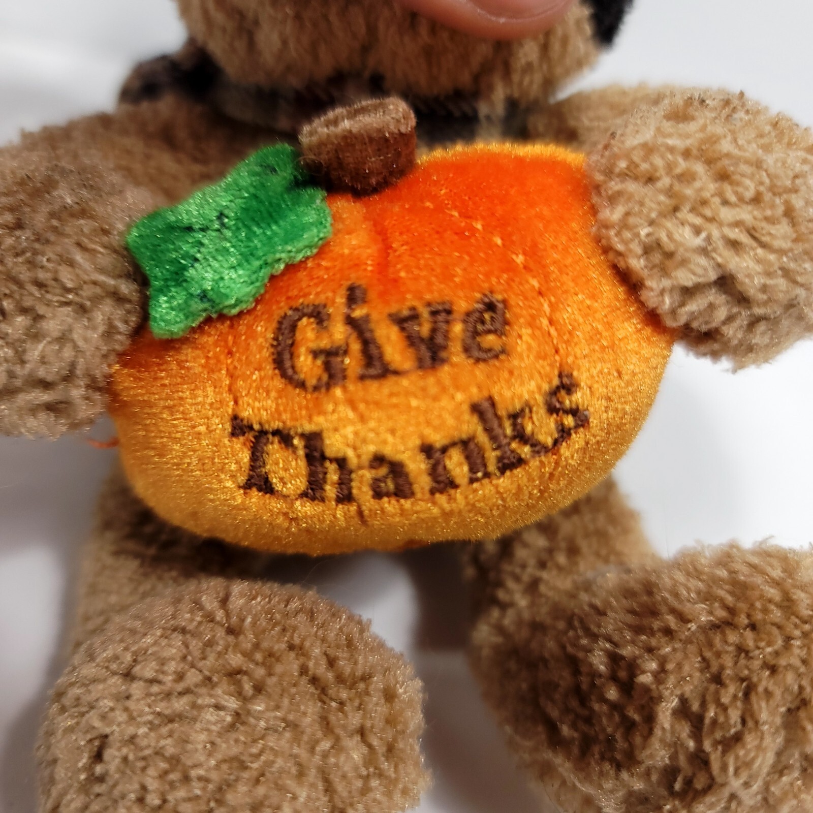 Give Thanks Thanksgiving Raccoon Holding Pumpkin Gund Plush Stuffed ...