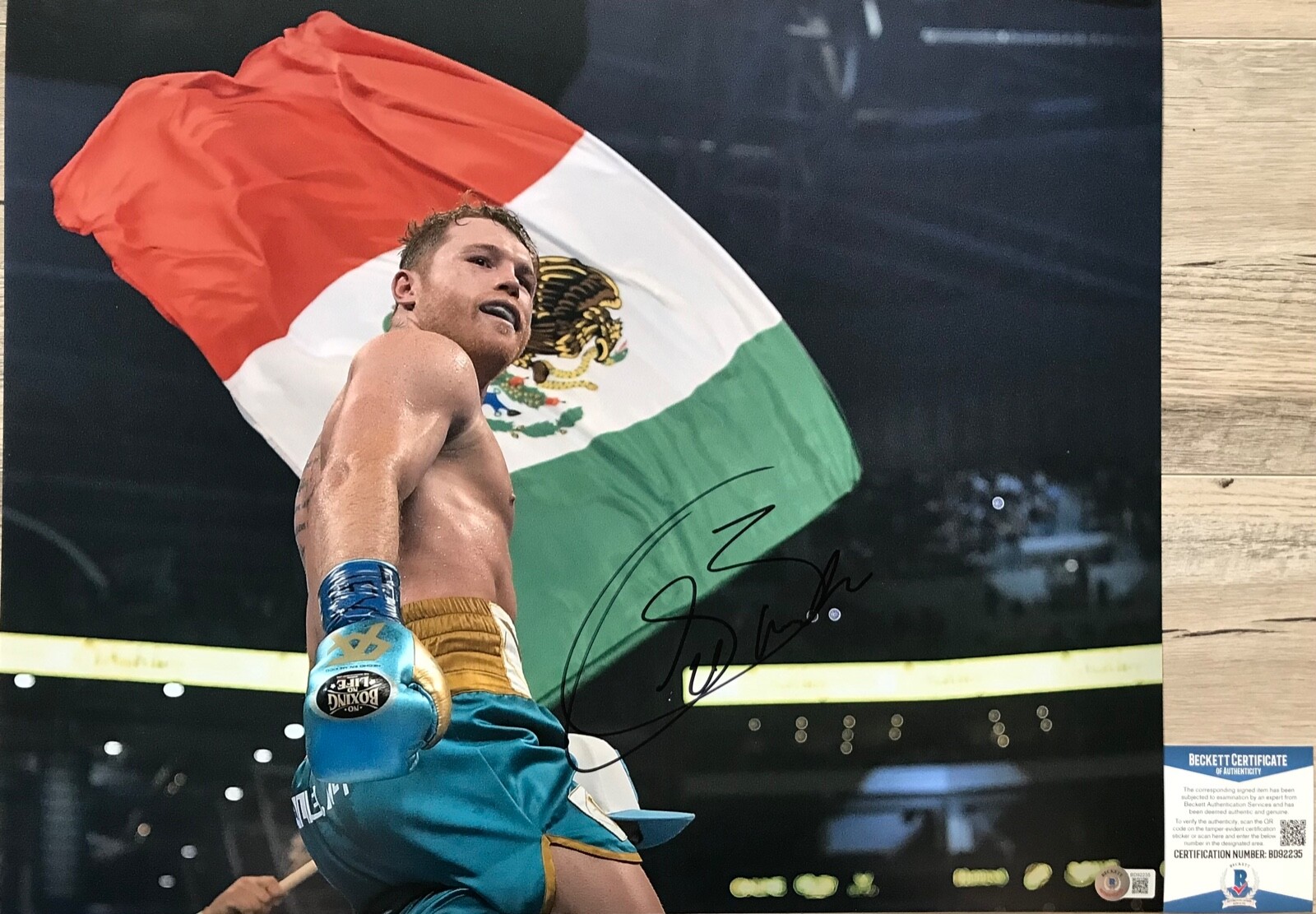 Canelo Alvarez | Player