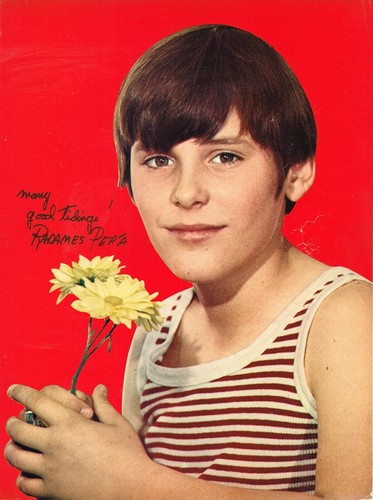 Radames Pera - Maybelline Ad - 11" x 8" Teen Magazine Pinup Mini-Poster ...