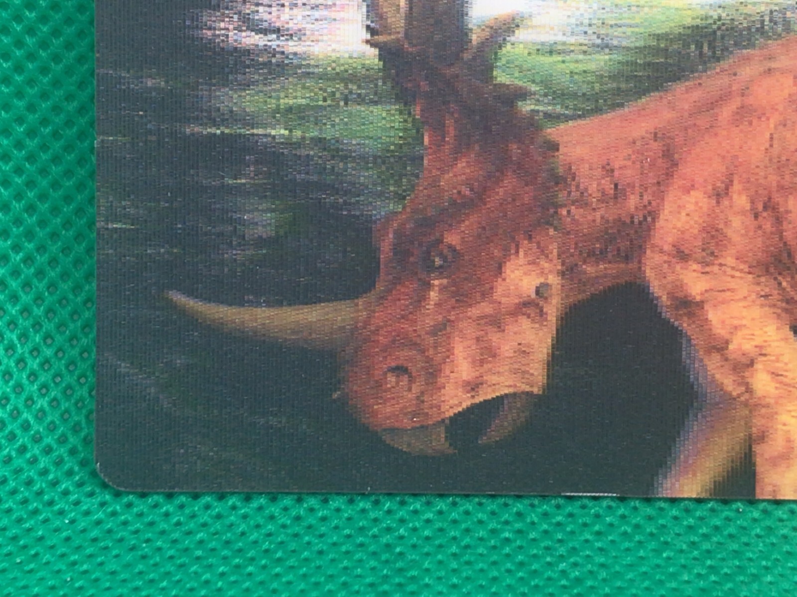 Styracosaurus Dinosaur 3D card 1999 Shinzen Takeuchi Japanese very rare ...