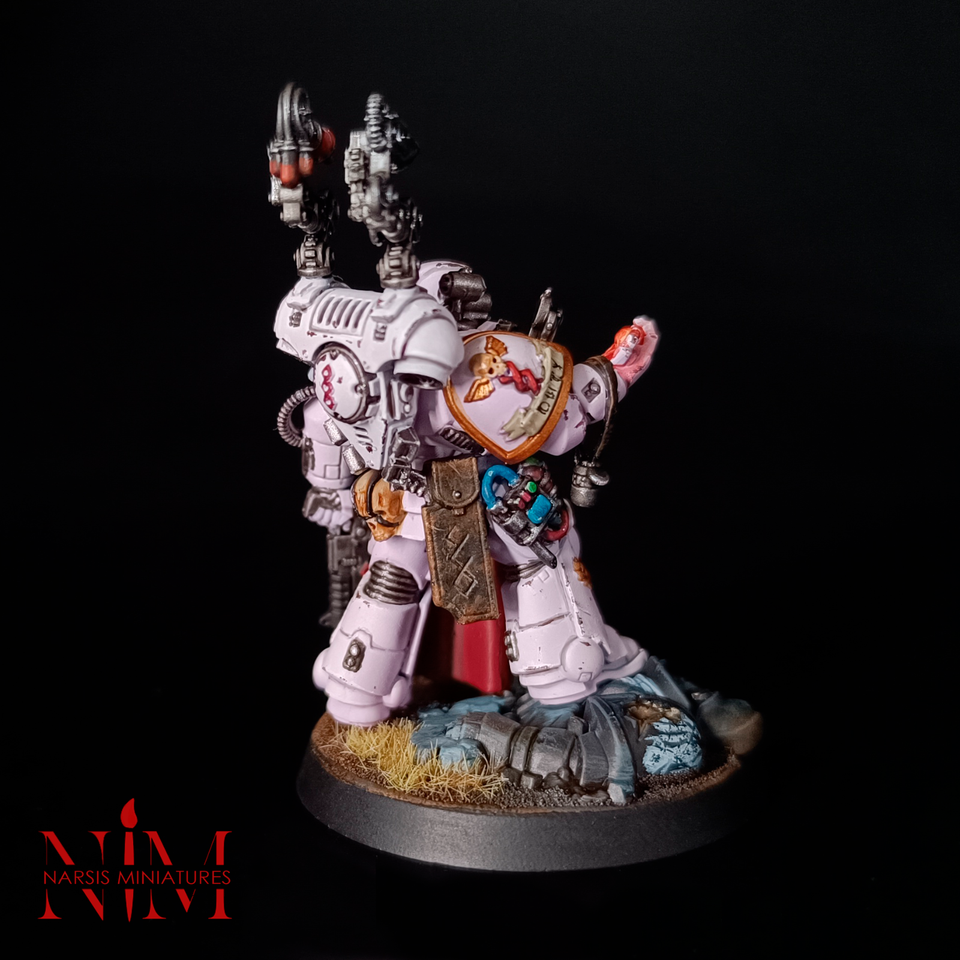 Warhammer 40k painted Raven Guard primaris apothecary | eBay