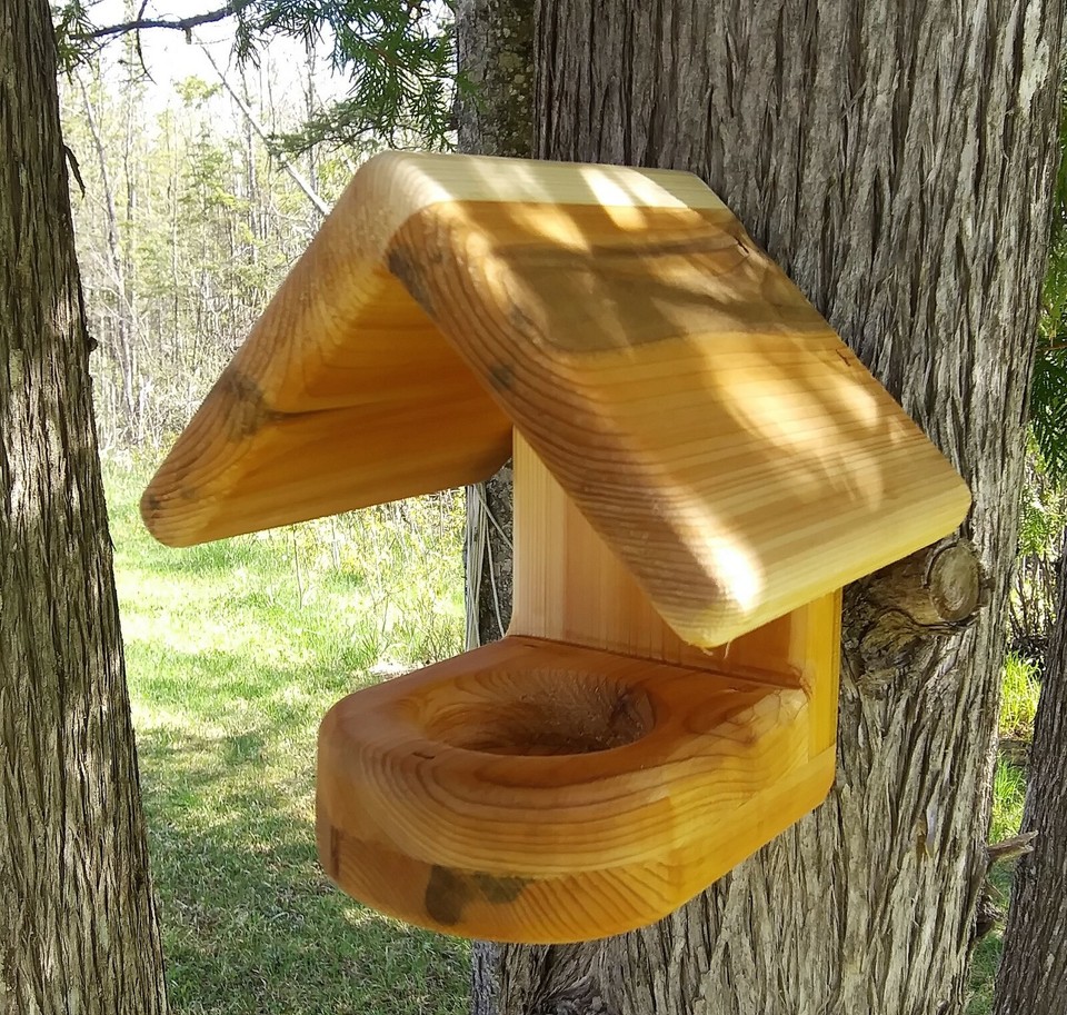 Cute decorative Small Hummingbird nesting shelf, cedar wood, TBNUP # 1 ...