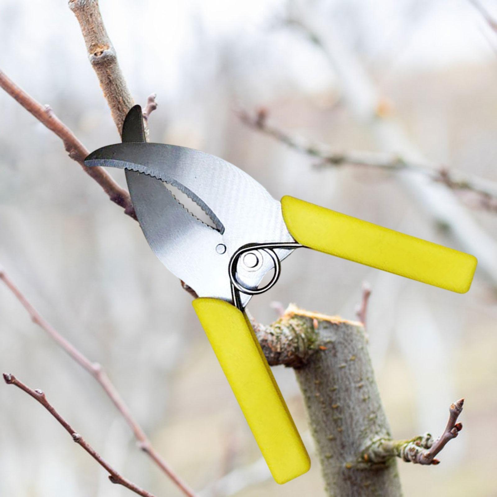 Ring Barking Cutter Scissor Hand Grafting Tool for Orchard Garden Fruit ...