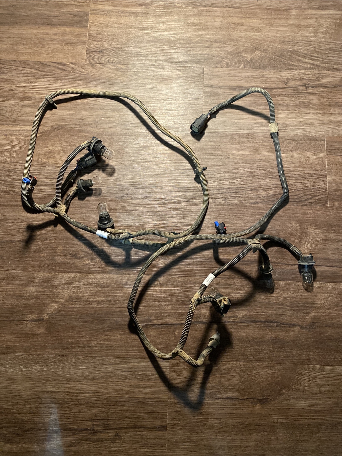 19-22 Chevy Silverado 1500 84234369 Tail Light Both Harnesses Bulbs ...