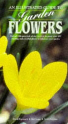 An Illustrated Guide to Garden Flowers - Paperback By David Papworth ...