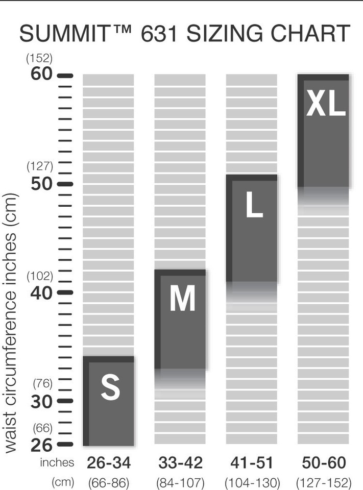 Aspen Medical Summit L0631 Lumbar Support Back Brace Black New | eBay